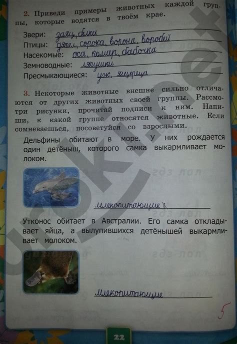 ГДЗ по окружающему миру 2 класс Соколова (рабочая тетрадь к учебнику ...