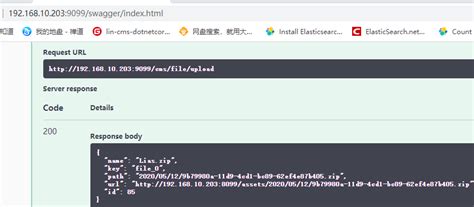 Netcore 部署时遇到413 Request Entity Too Large 和 413payload Too Large 的问题