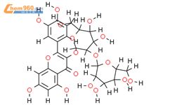 槲皮素 3 O 葡萄糖基 12 半乳糖苷 Quercetin 3 glucosyl 1 2 galactoside 95043 15