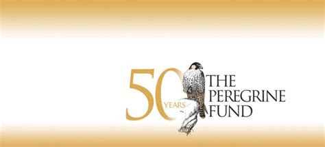 Home The Peregrine Fund