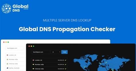Global DNS GPL Multiple Server DNS Propagation Checker V Download