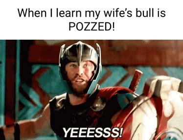 En I Learn My Wifes Bull Is Pozzed Yeeesss Ifunny