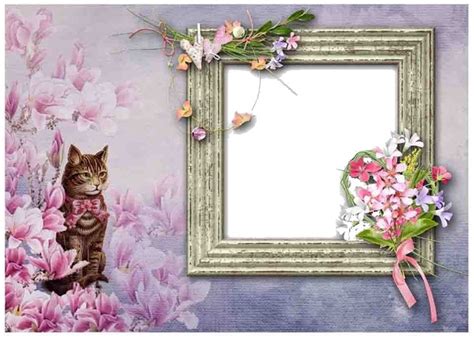 Frames Design Template Pixiz