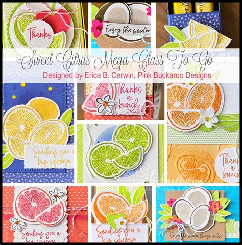 Sweet Citrus Class To Go Pdf Only Pink Buckaroo Designs