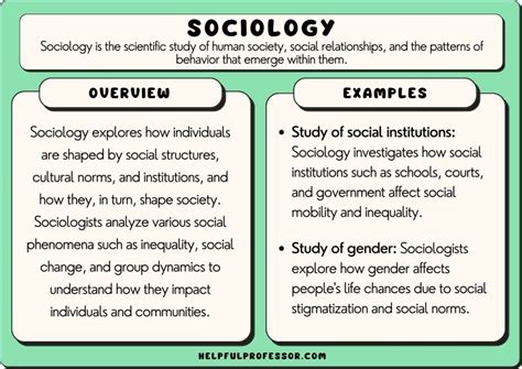 25 Sociology Examples 2025