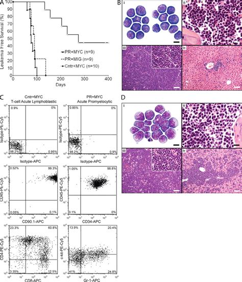 Myc Cooperates With Pml Rarα To Induce Aml A Bone Marrow Of Pml Rara Download Scientific