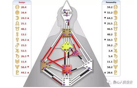 人类图｜名人｜刘亦菲 一只沉睡的凤凰｜当代名人的人类图浅析「房鼎容原创」能量