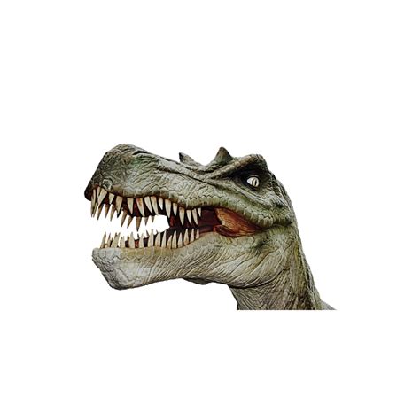 Dinosauro Png Immagini Gratis Su Pixabay Pixabay