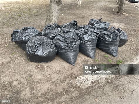 도시 거리에 떨어진 나뭇잎의 검은 가방에 수집 잎이 가득 한 검은 비닐 봉지 쓰레기에서 도시 거리의 청소 자연에 쓰레기 검은