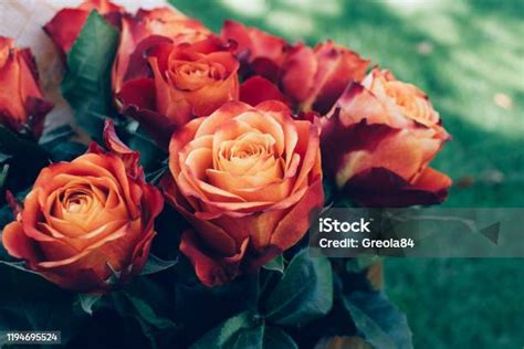 자연 배경에 아름다운 독특한 빨간색 오렌지와 복숭아 색상의 꽃다발 장미 0명에 대한 스톡 사진 및 기타 이미지 0명 3월 개성 개념 Istock