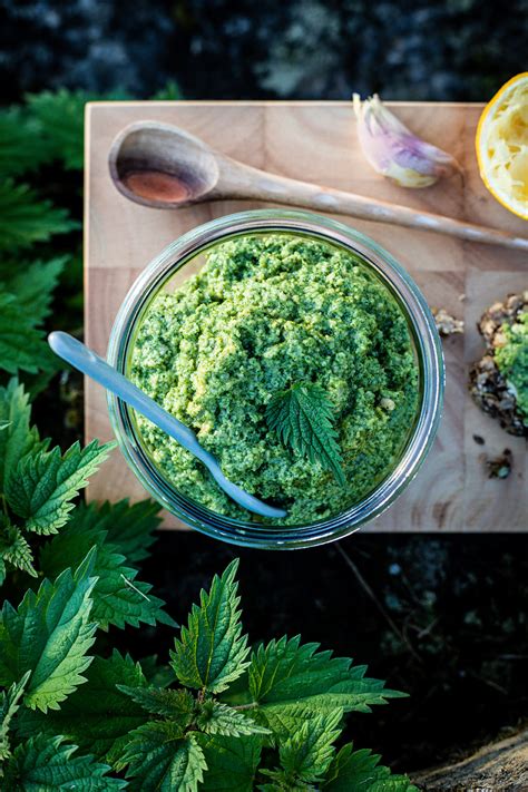 Brennessel Pesto Alles Mit Ohne De