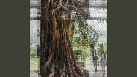 All Iterator Youtube