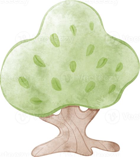 Watercolor Tree Illustration 35148400 Png