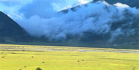 आजका तस्बिर भदौ २४ सेतोपाटी संवाददाता Setopati