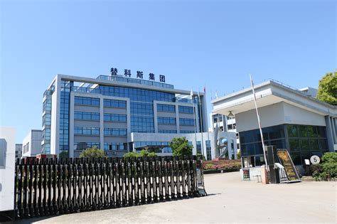 发展历程 关于我们 中文 普通文章 替科斯集团