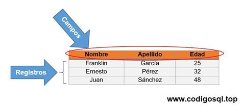 ¿qué Es Un Campo En Una Base De Datos