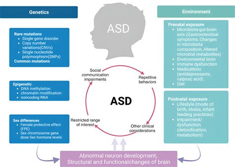 Autism Spectrum Disorder Pathogenesis Biomarker And Intervention Therapy