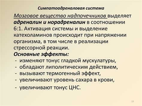 Физиология эндокринной системы - презентация онлайн