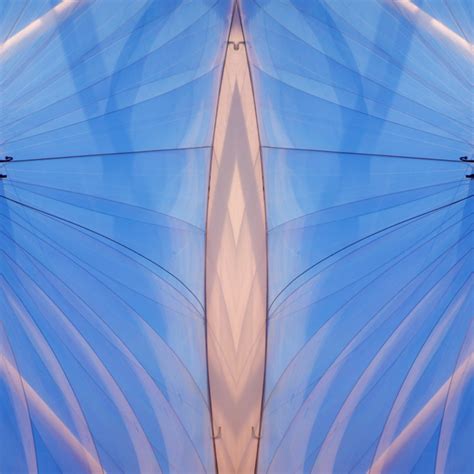 The Fractal Series Lucian Roman