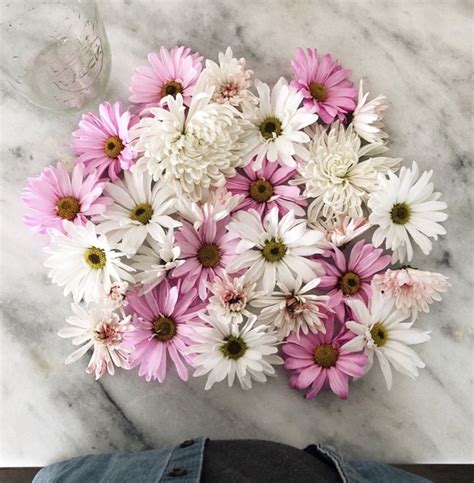 Bumpdate 16 Weeks Its Rachelanne Floral Floral Wreath Flowers