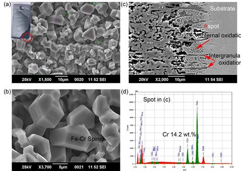 The Specimen Oxidised At 1150°c For 600 S A Surface