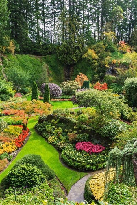 The Ultimate Guide To Visiting Butchart Gardens In Victoria Bc Sunken Garden Backyard Garden