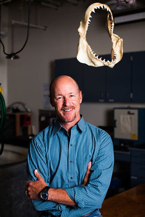 About The Shark Lab California State University Long Beach