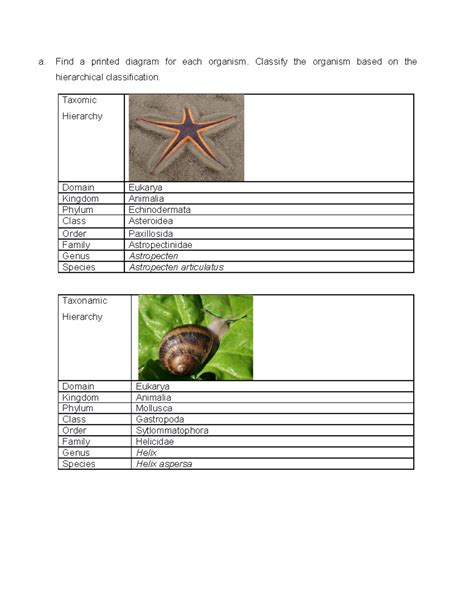 Assignment 1 Sb025 Biology Studocu