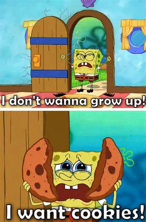 11 Ways That Spongebob Explains College The Odyssey Online