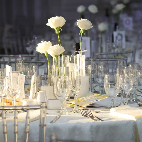 Stefanie Caputo Foundation Stefaniecaputofoundation • Instagram Photos And Videos