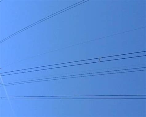 Defective Insulators Object Detection Dataset And Pre Trained Model By
