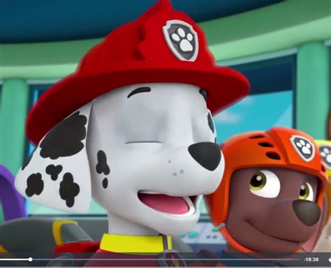 Zumas Gallerypups Save Jakes Cake Paw Patrol Cast Wiki Fandom