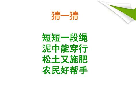 环节动物 word文档在线阅读与下载 无忧文档