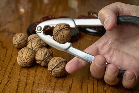 Levers Lesson Summary Good Science