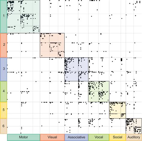 community detection partitions nodes into six highly interconnected