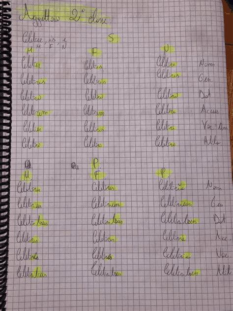 Declinazioni E Verbi Latini Schemi E Mappe Concettuali Di Lingua