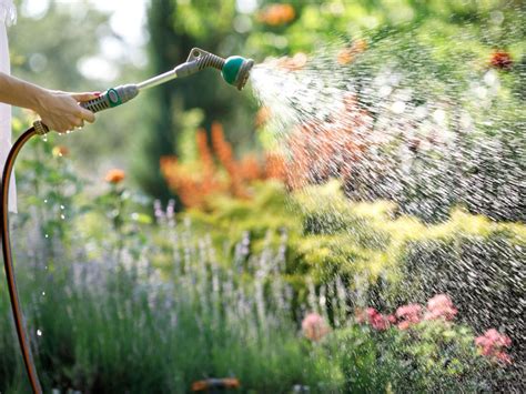 Spray Settings On Hoses How To Use A Sprayer Hose For Watering Gardening Know How