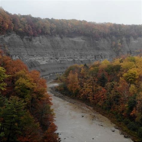 Cameron Webb Youtube