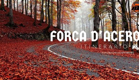 Forca Dacero Con La Moto