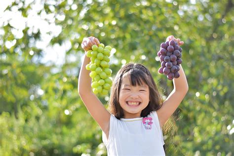 【公式】ぶどう狩りの関観光農園｜長野県 ｜長野県東御市