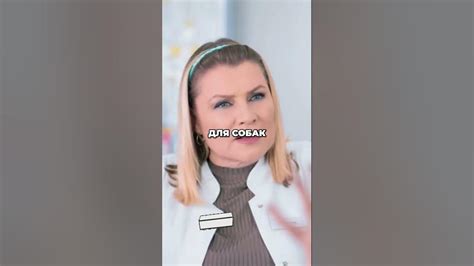 Как выбрать правильный конус для собак советы и рекомендации фильм моменты Shorts Youtube