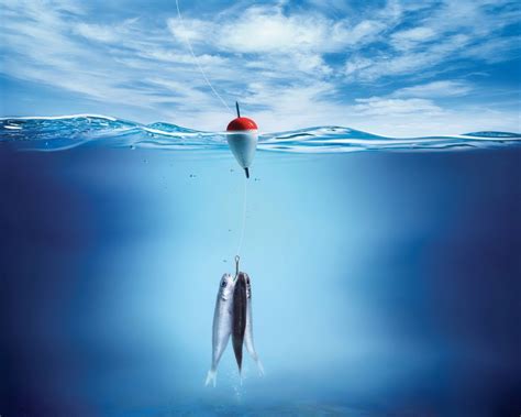 Fishing Desktop Wallpapers Phone Wallpaper Pfp S And More