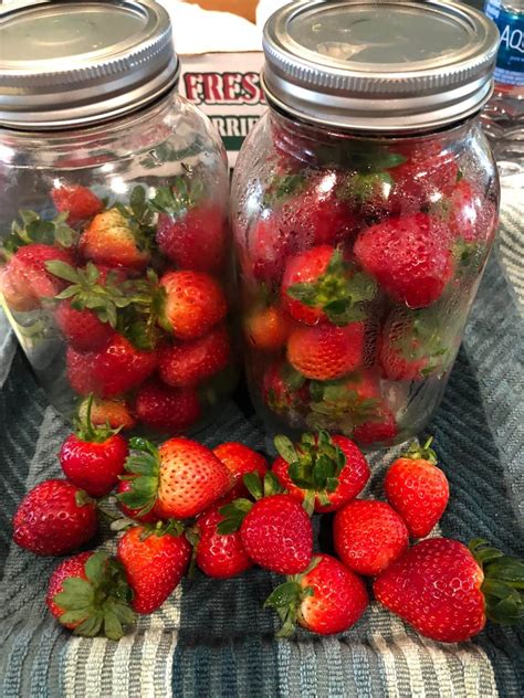 15 Best Strawberry Farms In Florida That You Need To Visit