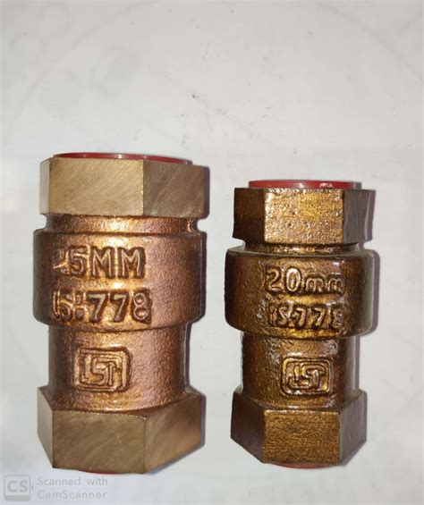 Gunmetal Vertical Check Valve Size Mm At Rs Piece In Jaipur ID