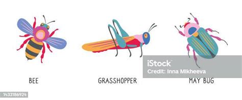 Cute Cartoon Insects Colorful Isolated Vector Illustration Set Of Icons