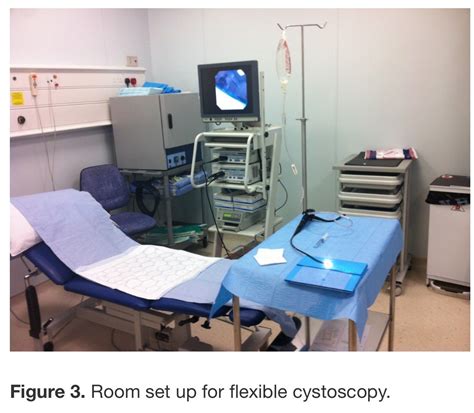 Tog Article Cystoscopy For The Gynecologist Medgyne