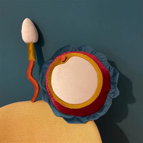 Sperm And Egg Cell Anatomical Plush Models Educational Plushies