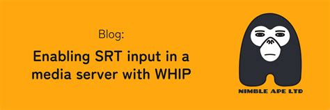 Nimble Ape Enabling Srt Input In A Media Server With Whip