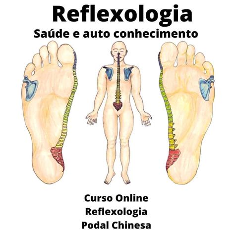 Reflexologia Podal 👣 On Instagram “boa Tarde 🌻 ️ 🍃 Conheça Mais