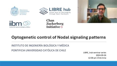 Optogenetic Control Of Nodal Signaling Patterns Seminario By Nathan Lord Youtube